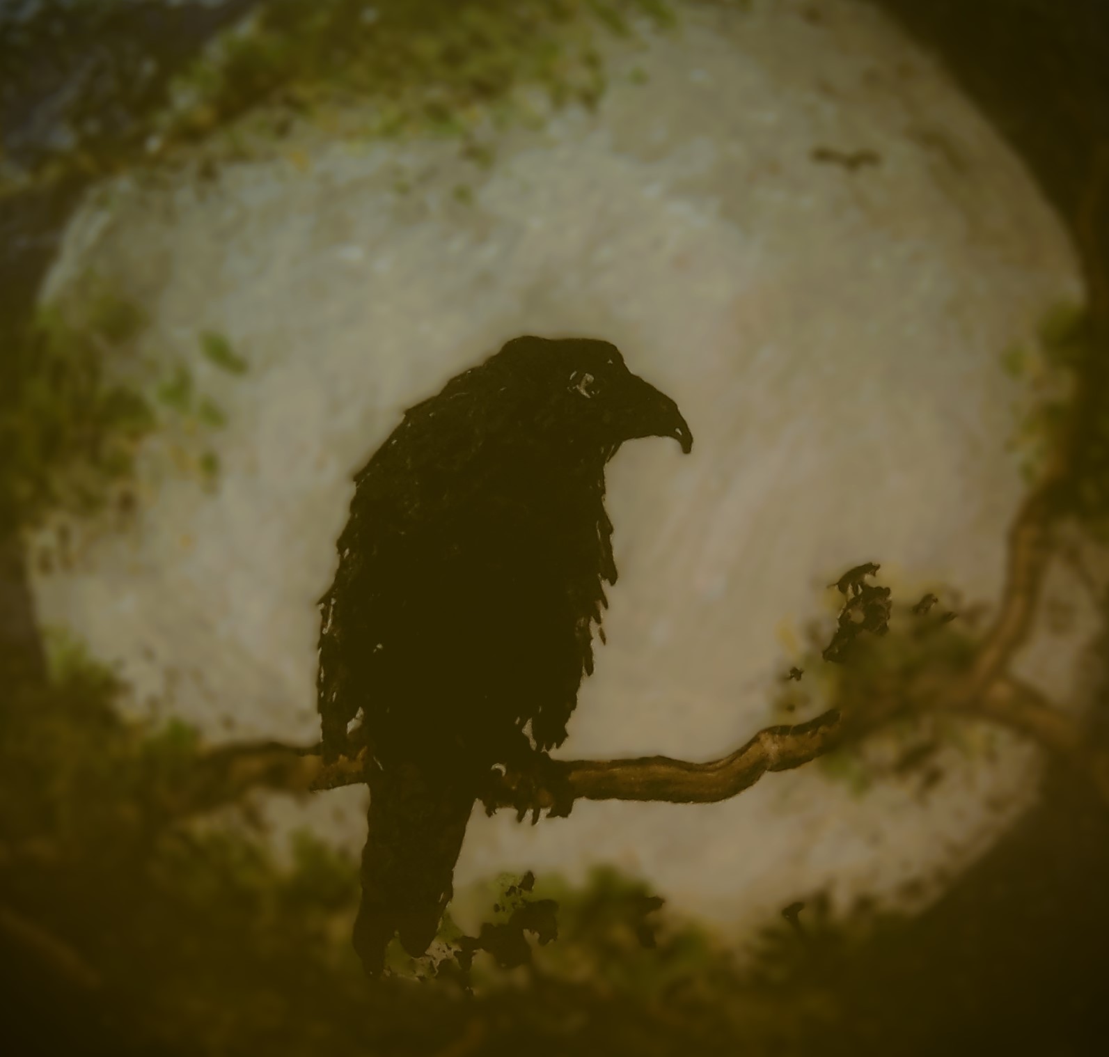 civil-war – RAVEN MOON